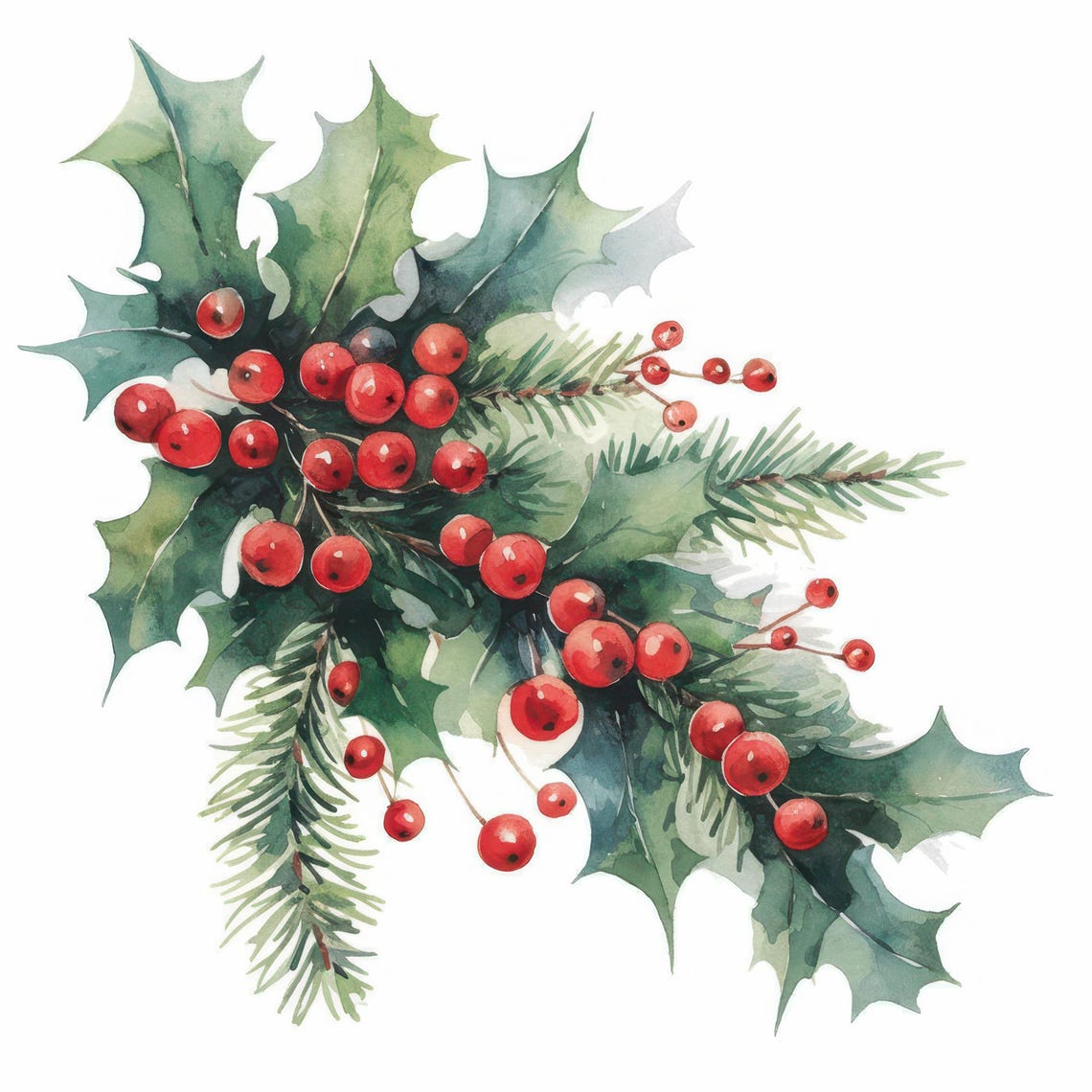 12 Evergreen Christmas Decor Clipart Bundle, Ornaments Illustration ...