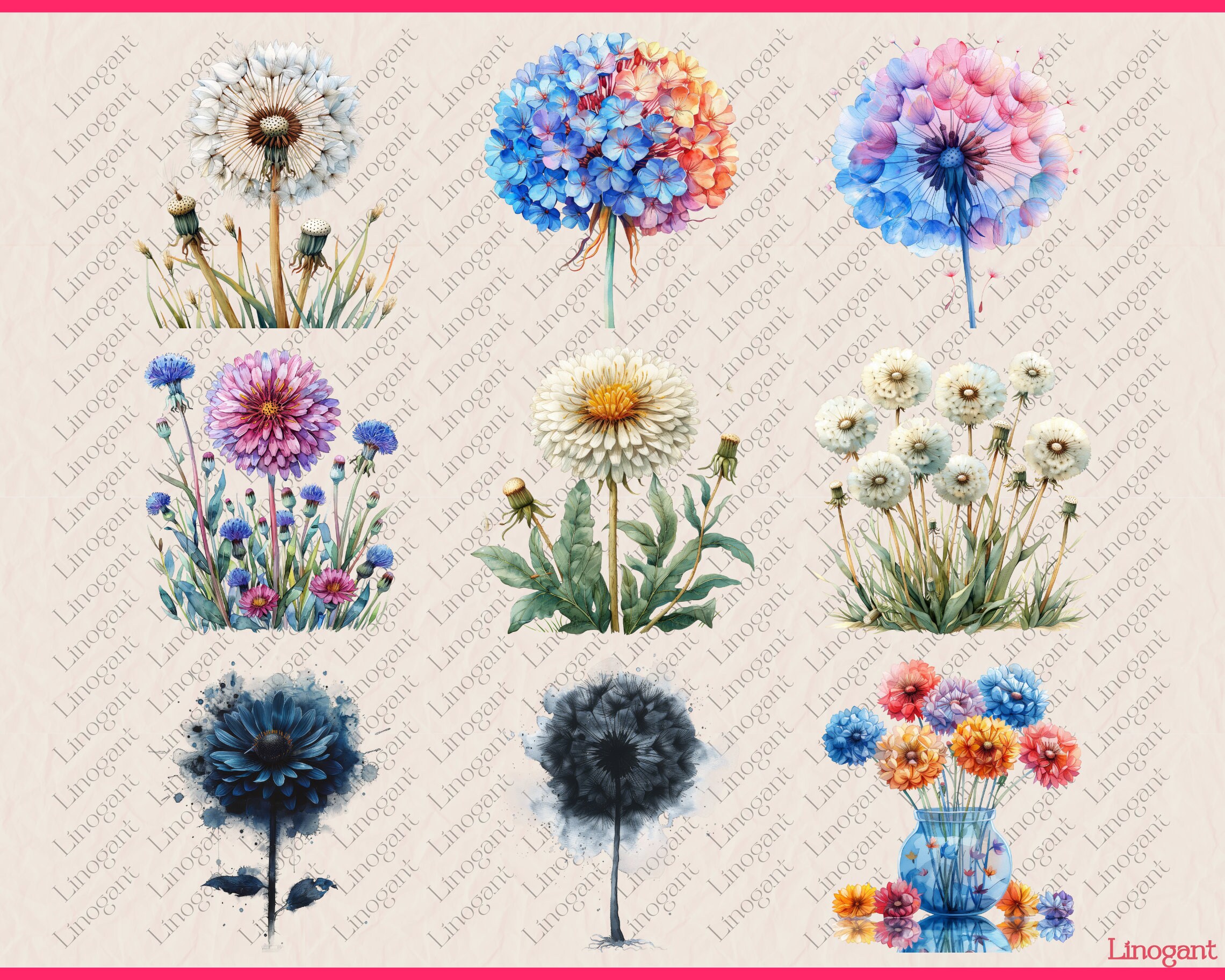 Watercolor Dandelion Clipart Bundle, Dandelions Flowers Clip Art Set ...