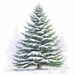17 Watercolor Christmas Tree Clipart Bundle, Festive Pine Illustration ...