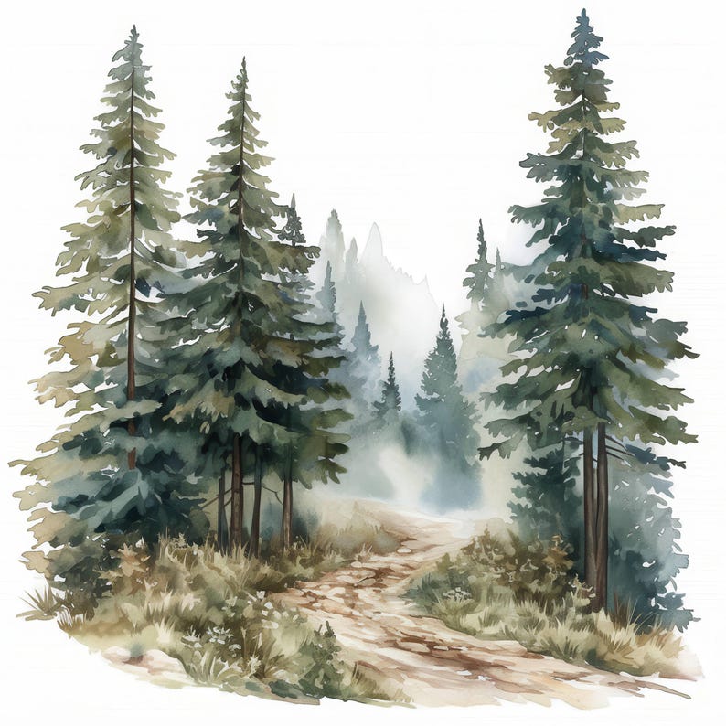 12 Forest Trail Clipart Bundle, Peaceful Nature Path Illustration ...