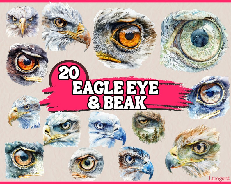 Watercolor Eagle Eye and Beak Clipart Bundle, Wild Bird Clip Art Set ...