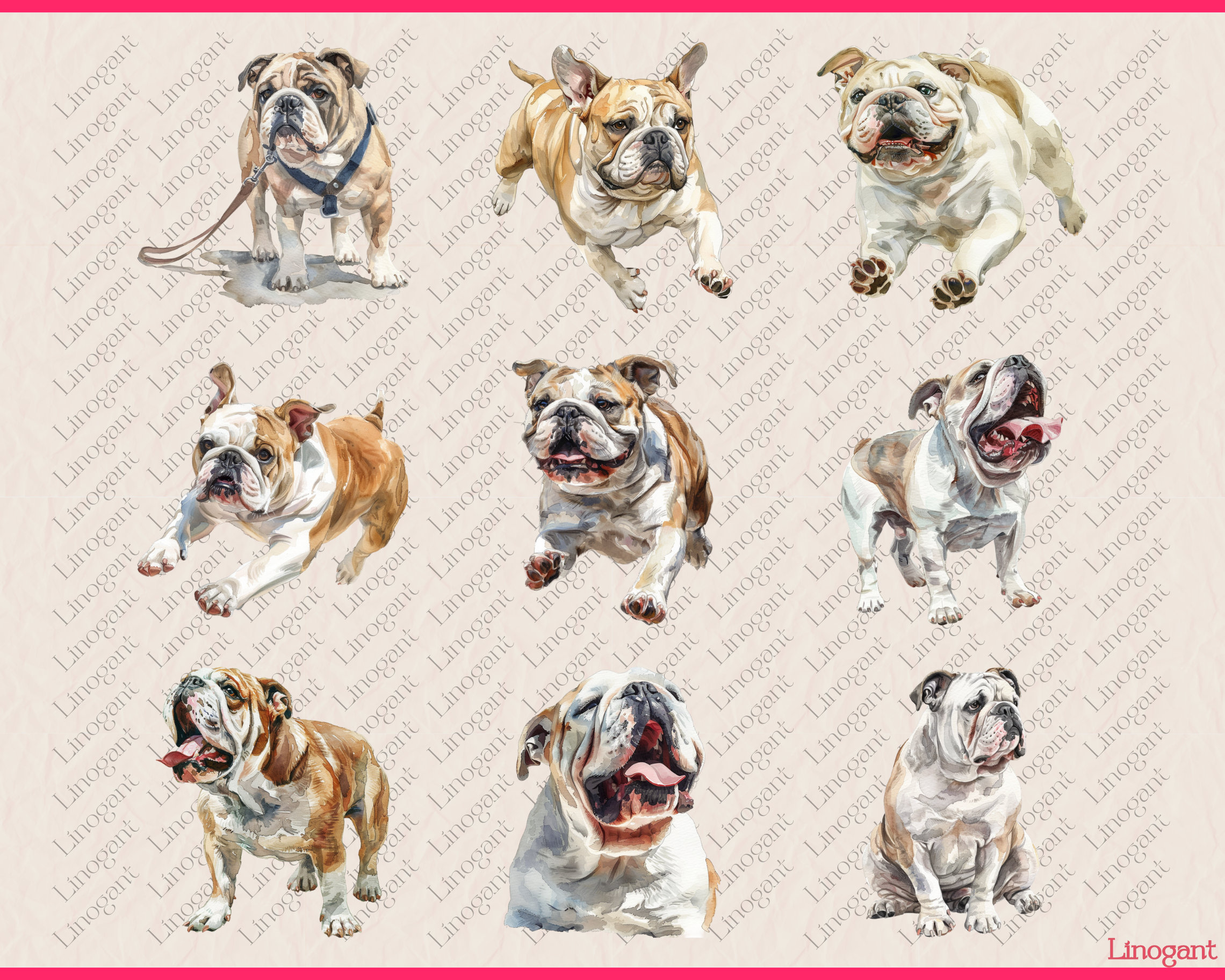 Watercolor English Bulldog Clipart Bundle, Dog Breeds Clip Art Set ...