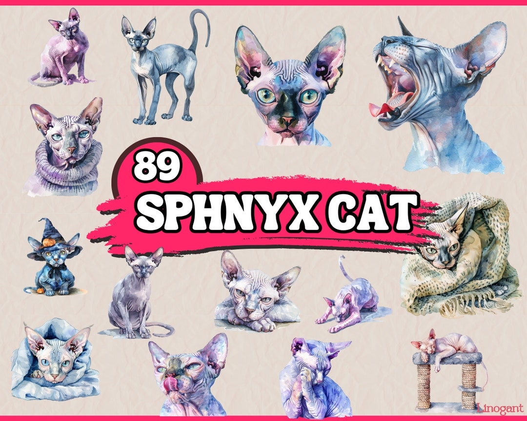 89 Sphnyx Cat Clipart | Cat Sublimation Bundle | Printable Watercolor ...