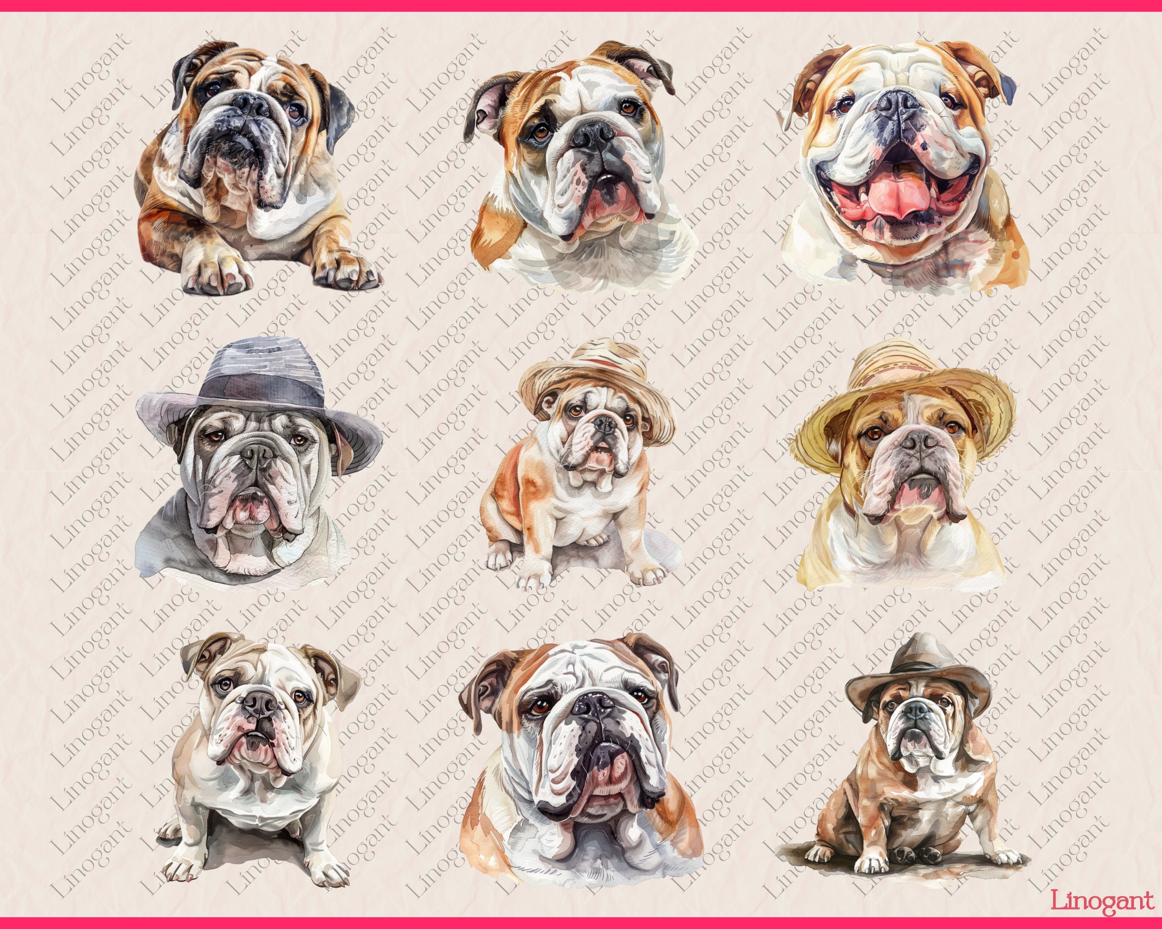 Watercolor English Bulldog Clipart Bundle, Dog Breeds Clip Art Set ...