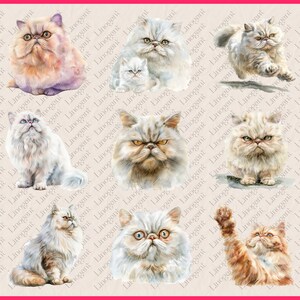 93 Persian Cat Clipart | Cat Sublimation Bundle | Printable Watercolor ...