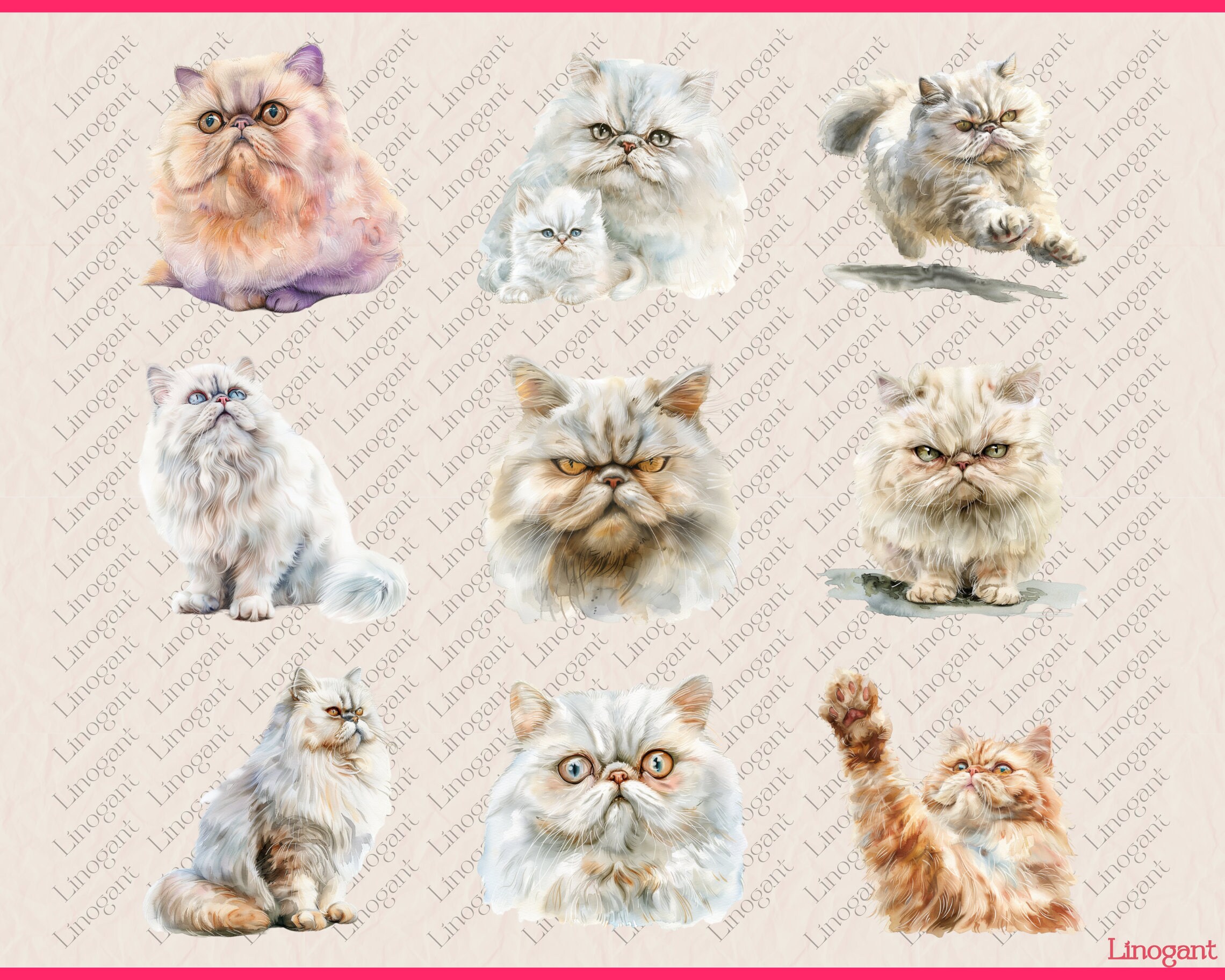 Watercolor Persian Cat Clipart Bundle, Cat Breed Clip Art Set, Animal ...