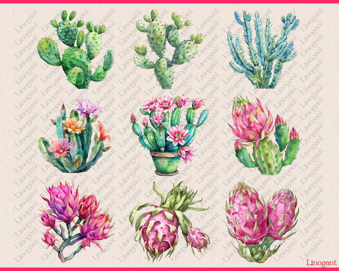 38 PNG Cactus With Flowers Clipart, Floral Cactus Clipart, Desert ...