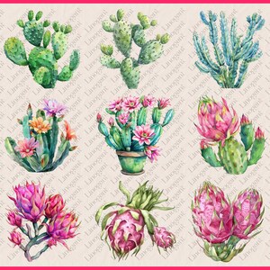 38 PNG Cactus With Flowers Clipart, Floral Cactus Clipart, Desert ...