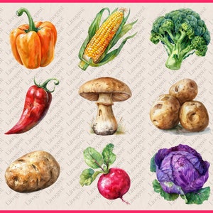Watercolor Vegetables Clipart Bundle, Food Clip Art Set, Veggie PNG ...