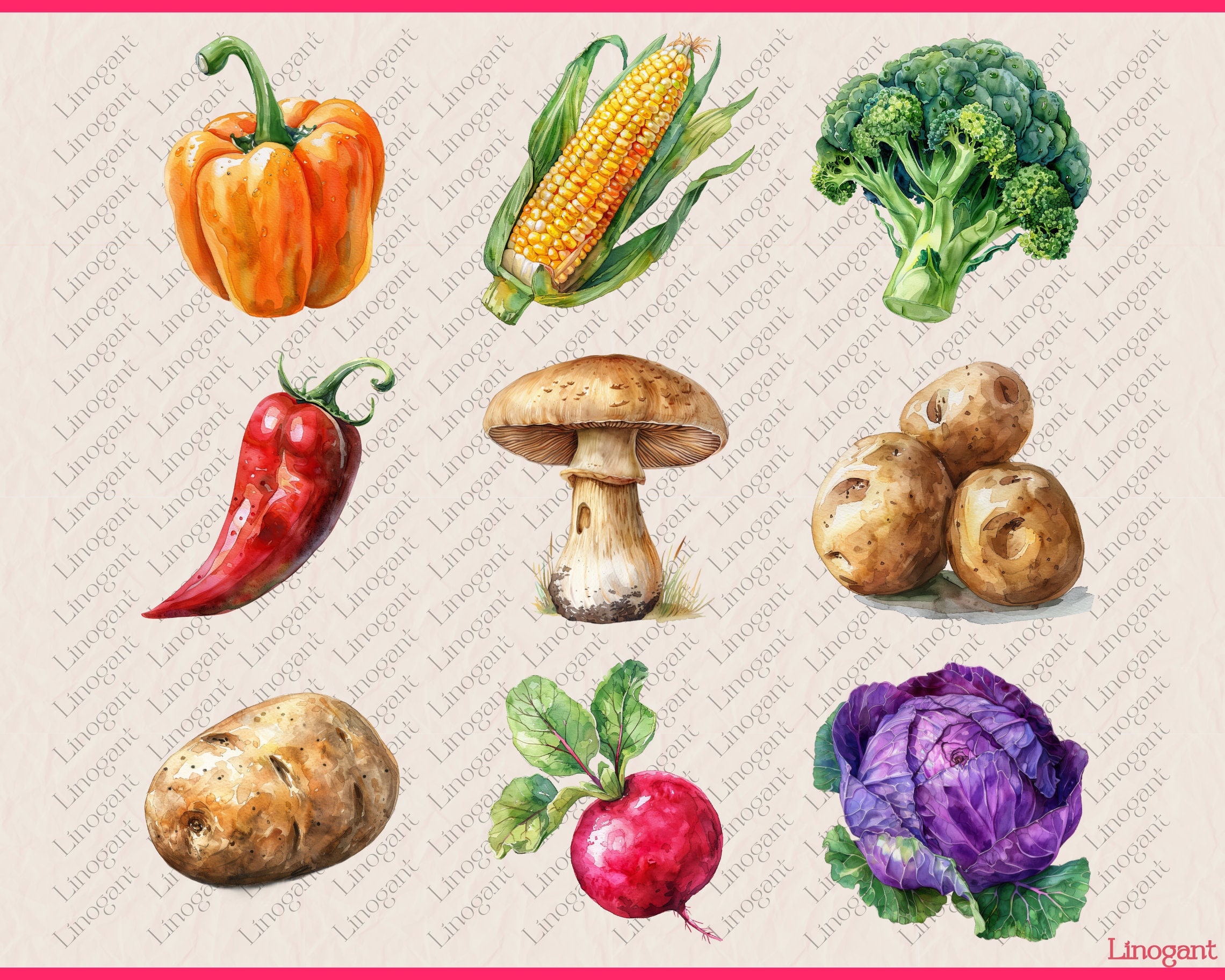 Watercolor Vegetables Clipart Bundle, Food Clip Art Set, Veggie PNG ...