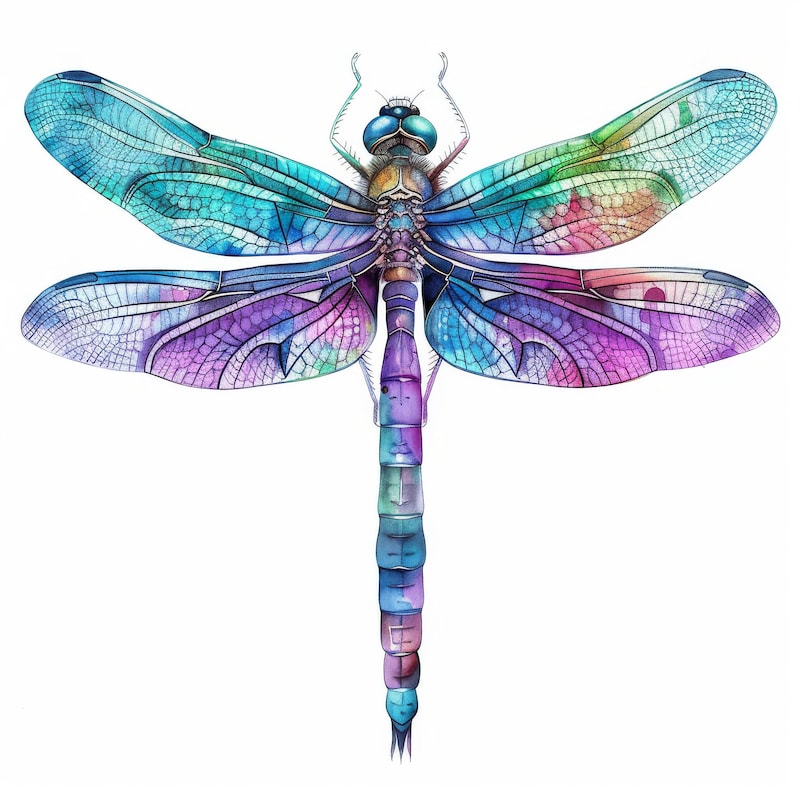 Dragonfly Art - Etsy