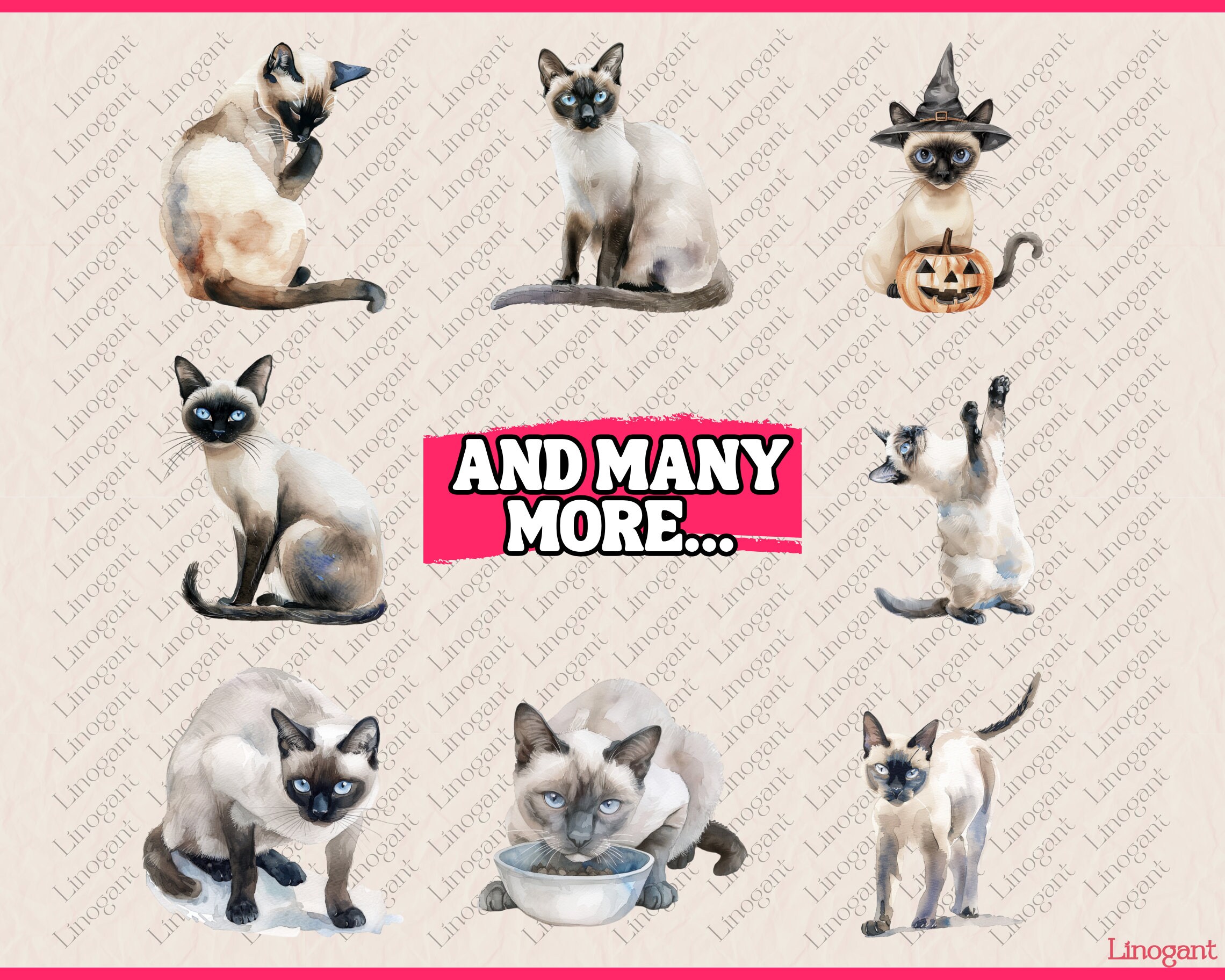 Watercolor Siamese Cat Clipart Bundle, Cat Breed Clip Art Set, Animal ...