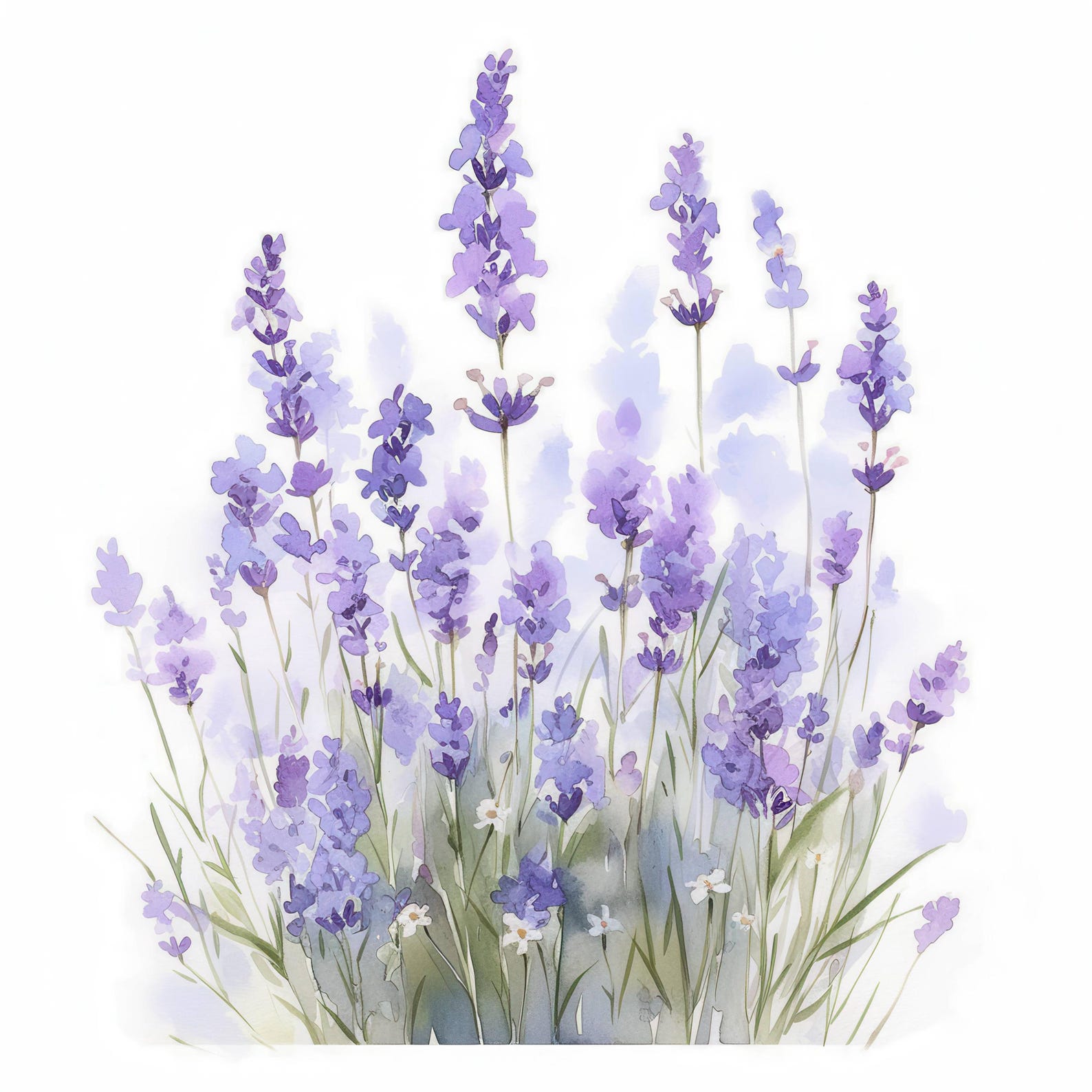 14 Lavender Clipart Bundle, Soft Purple Art Illustration, Printable ...