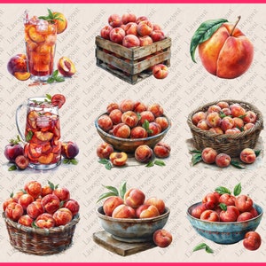 Watercolor Peach Clipart Bundle, Fruits Clip Art Set, Peach Cheese Cake ...