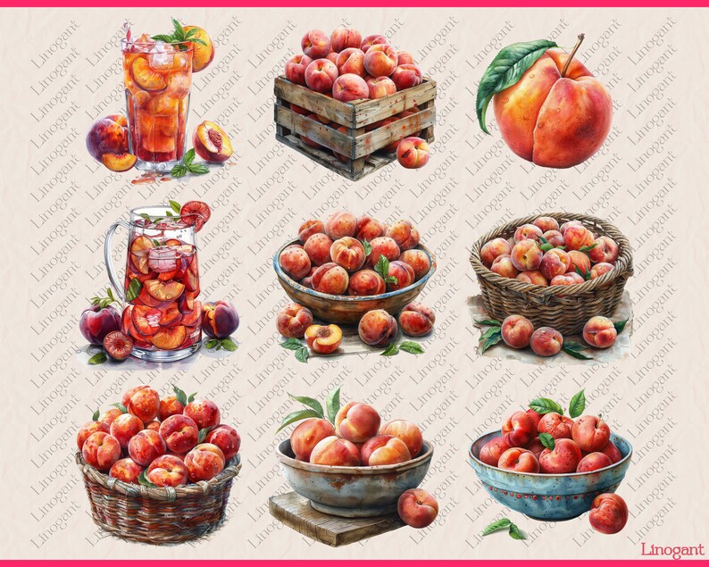 Watercolor Peach Clipart Bundle, Fruits Clip Art Set, Peach Cheese Cake ...