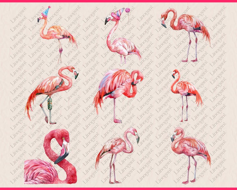 33 PNG Flamingo Clipart, Bird Species Clipart Featuring Flamingos ...