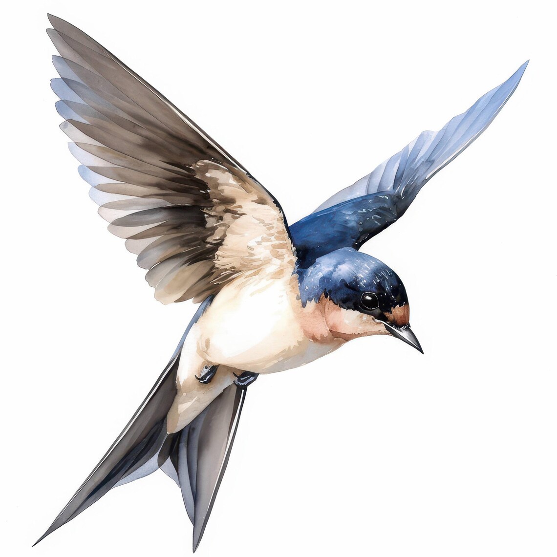 10 Swallow Clipart Bundle, Flying Bird Art Illustration, Printable ...
