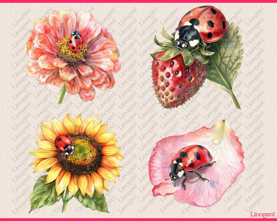Watercolor Ladybug & Flower Clipart Bundle, Cute Lady Bug on Floral ...