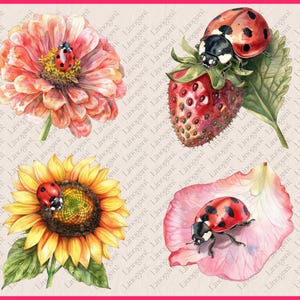 Watercolor Ladybug & Flower Clipart Bundle, Cute Lady Bug on Floral ...