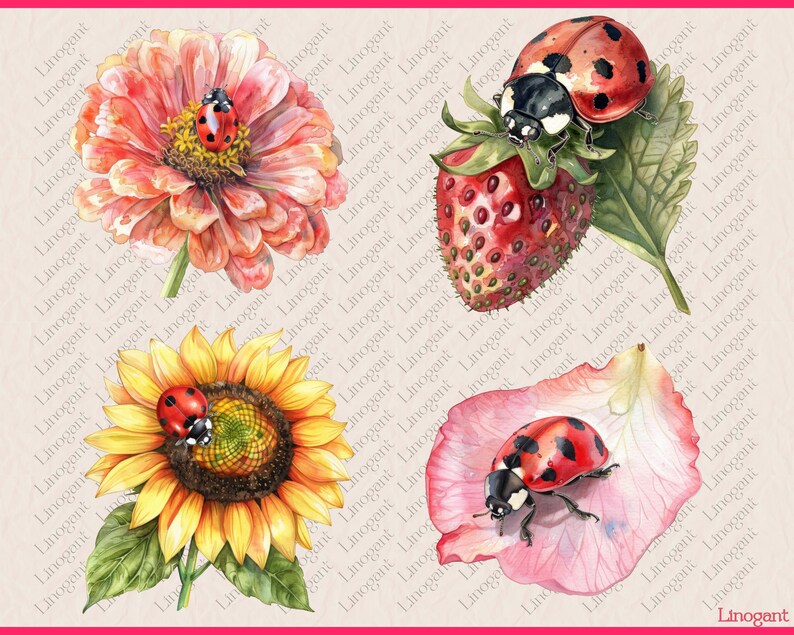 Watercolor Ladybug & Flower Clipart Bundle, Cute Lady Bug on Floral ...