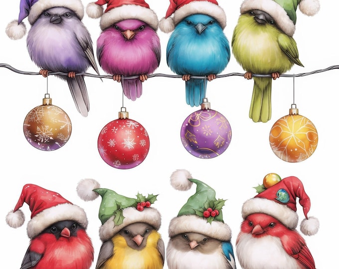 10 JPG Christmas Birds Clipart, Commercial Use, Whimsical Ephemera ...