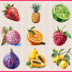 Watercolor Fruits Clipart Bundle, Colorful Fruits Clip Art Set, Fruit ...