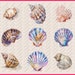 Watercolor Coral and Seashells Clipart Bundle, Under Sea With Coral ...