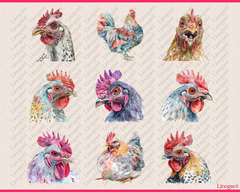 Watercolor Chicken Clipart Bundle, Bird Species Clip Art Set, Farm ...
