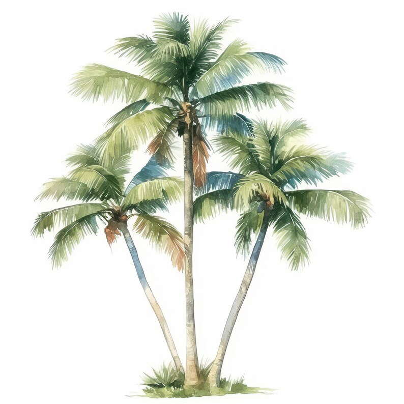 12 Tropical Palm Watercolor Clipart, Island Tree Beach Illustration ...