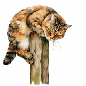 13 Cat Farm Clipart Bundle, Rustic Feline Animal Illustration ...