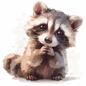 13 Cute Raccoon Clipart Bundle, Adorable Forest Animal Illustration ...