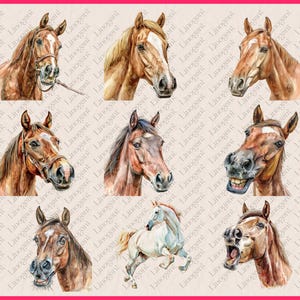 31 PNG Happy Horse Clipart | Smiling Horse Clipart, Cute Horse Face ...