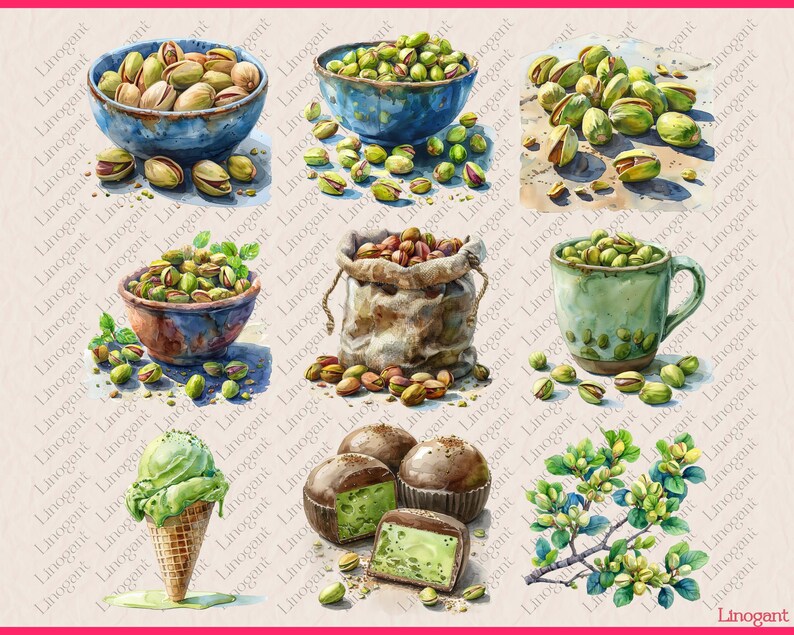 Watercolor Ultimate Nut Clipart Bundle, 289 Pngs Featuring Pistachio ...
