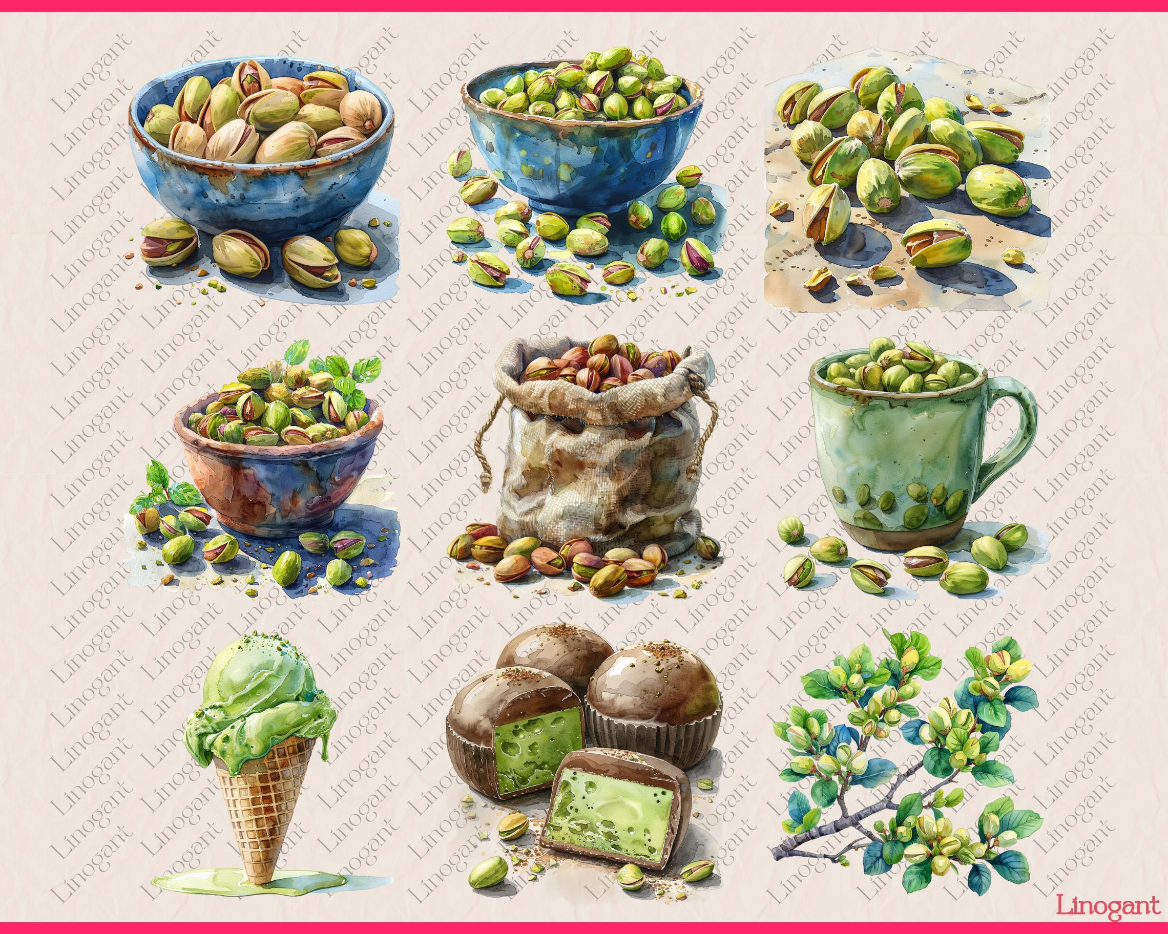 Watercolor Ultimate Nut Clipart Bundle, 289 Pngs Featuring Pistachio ...