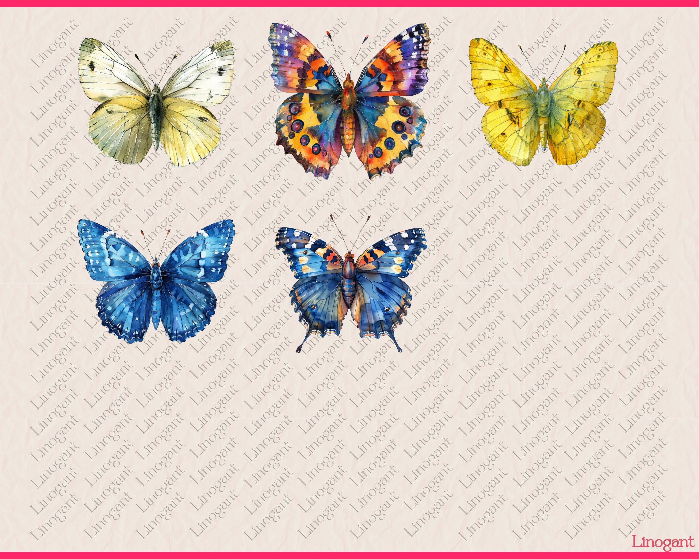 Watercolor Butterflies Clipart Bundle, Colorful Butterfly Clip Art Set ...