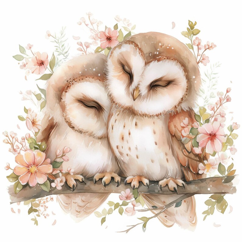 15 Cute Floral Owl Clipart Bundle, Woodland Owl Illustration, Printable ...