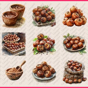 Watercolor Ultimate Nut Clipart Bundle, 289 Pngs Featuring Pistachio ...