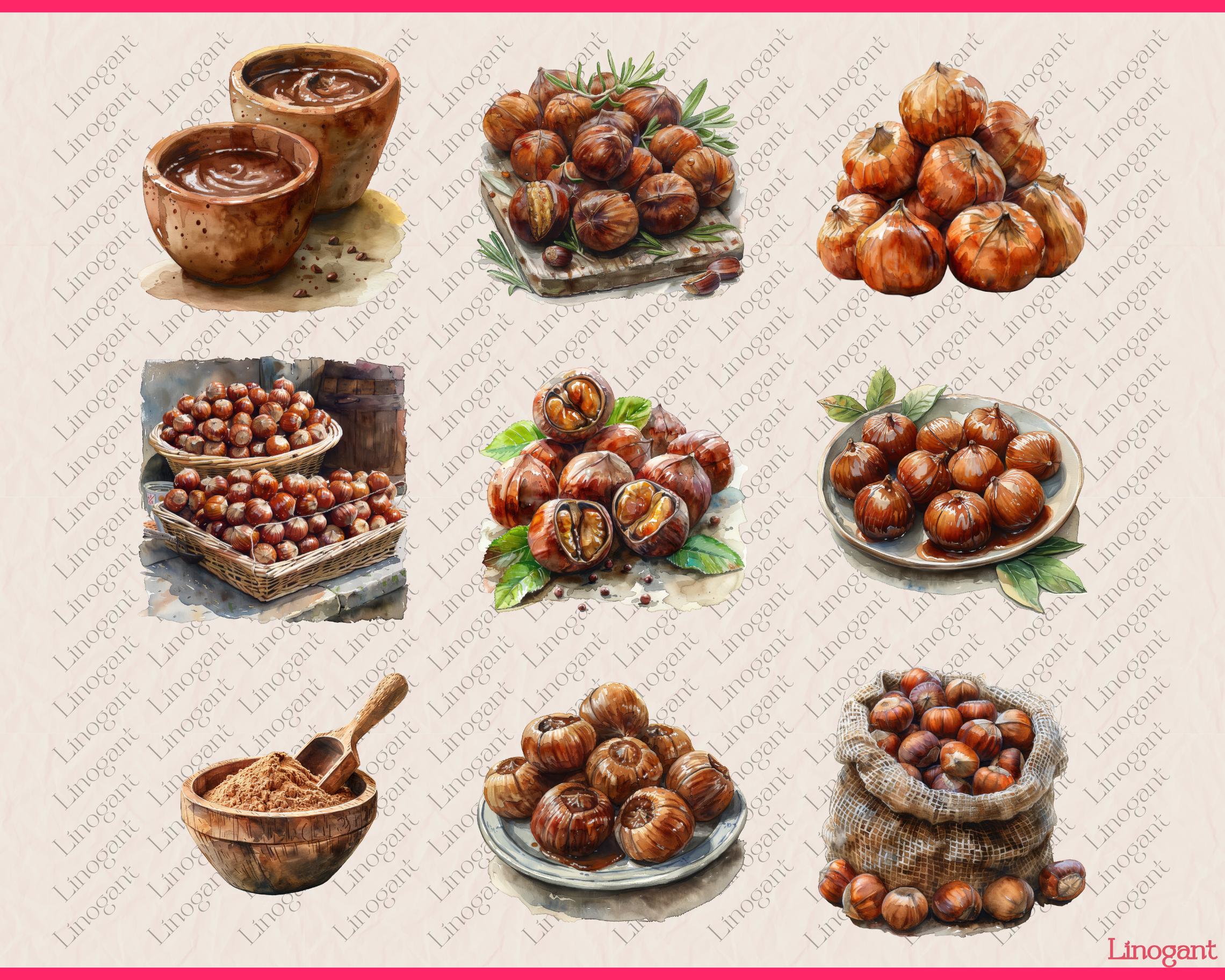 Watercolor Ultimate Nut Clipart Bundle, 289 Pngs Featuring Pistachio ...