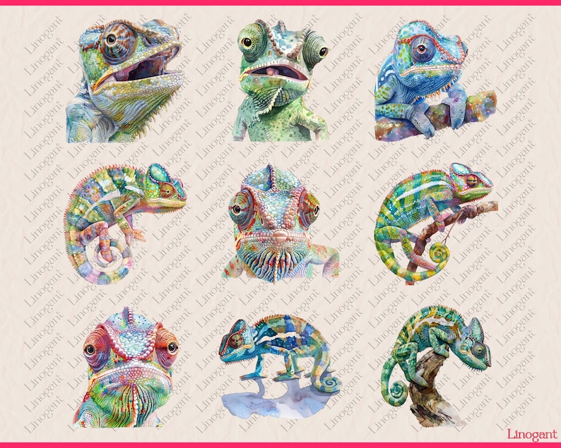 Watercolor Chameleon Clipart Bundle, Chamelon Clip Art Set, Wild Animal ...