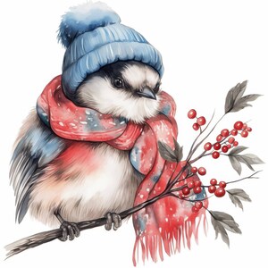 12 Festive Cardinal Clipart Bundle, Red Winter Bird Illustration ...