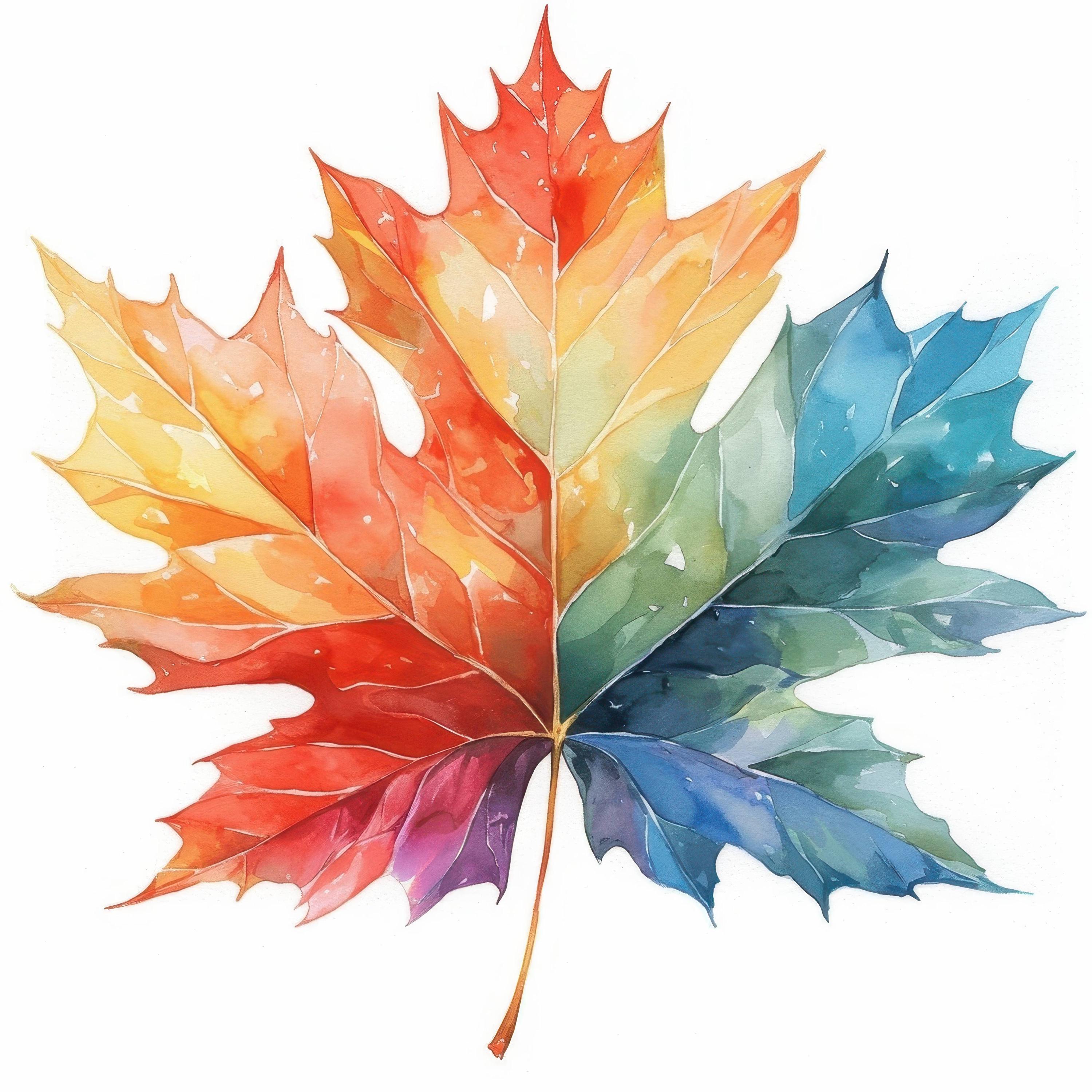 18 Maple Leaf Clipart Bundle, Elegant Autumn Foliage Illustration ...
