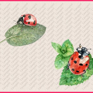 Watercolor Ladybug and Leaf Clipart Bundle, Red Lady Bug on Tree Leaves ...