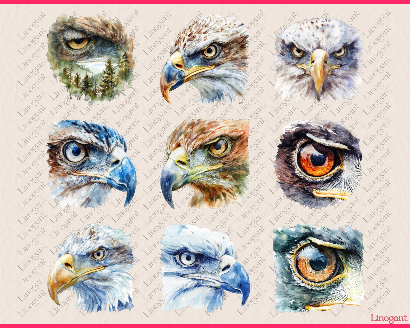 Watercolor Eagle Eye and Beak Clipart Bundle, Wild Bird Clip Art Set ...