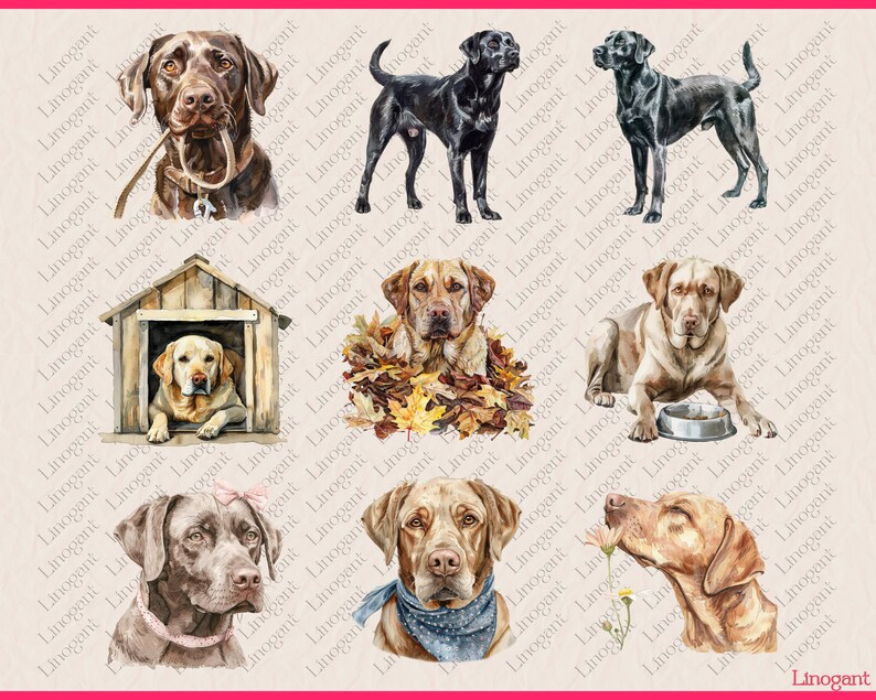 Watercolor Labrador Clipart Bundle, Dog Breed Clip Art Set, Animal Pet ...