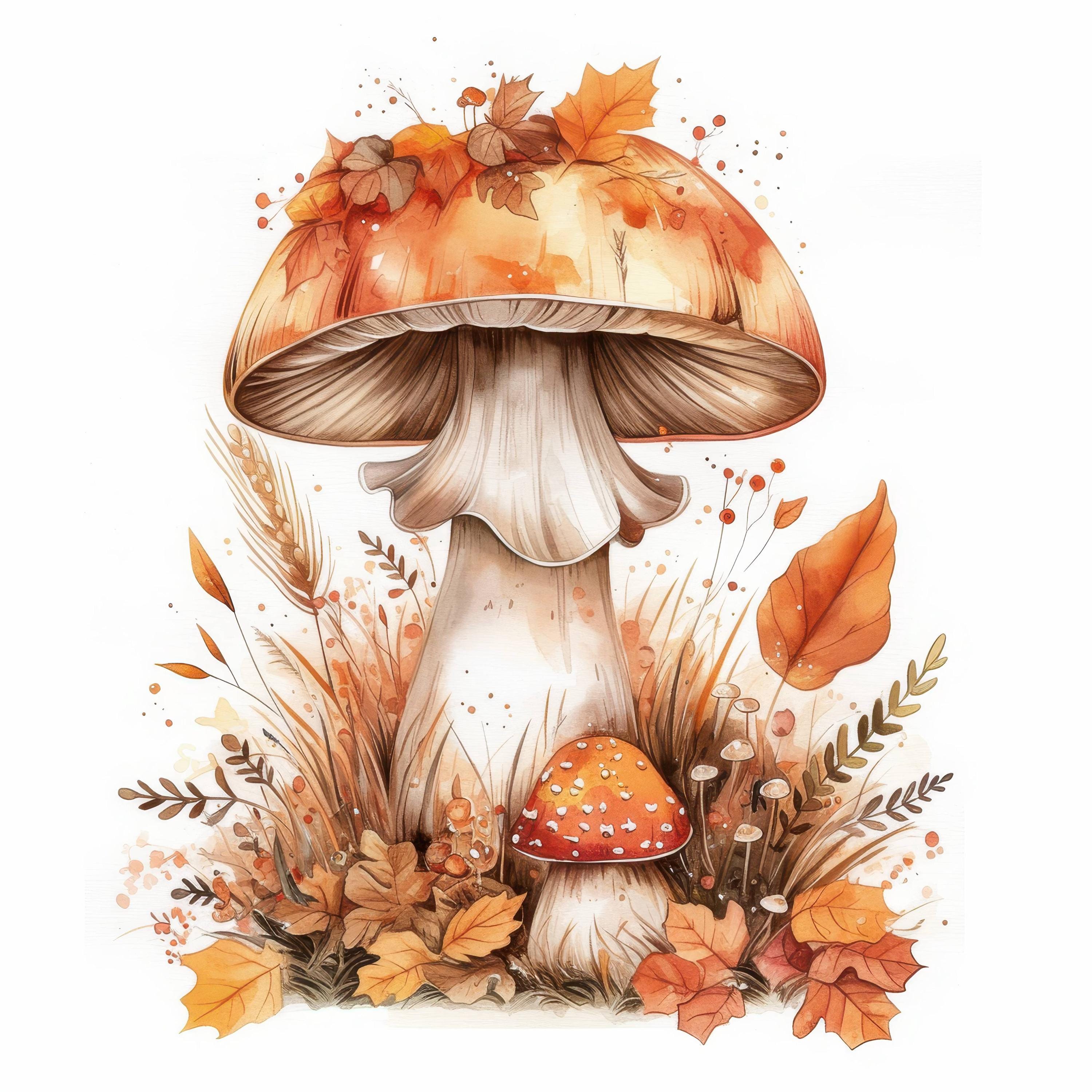 14 Mushroom and Fall Foliage Clipart Bundle, Woodland Harvest ...