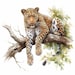12 Watercolor Leopard Clipart Bundle, Wild Jungle Cat Illustration ...