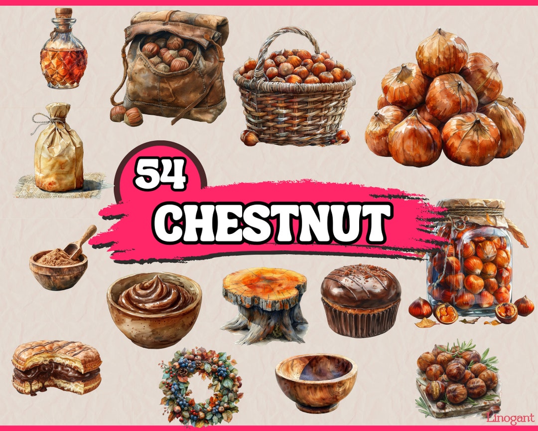 Watercolor Chestnut Clipart Bundle, Chestnut Nuts Clip Art Set, Box ...