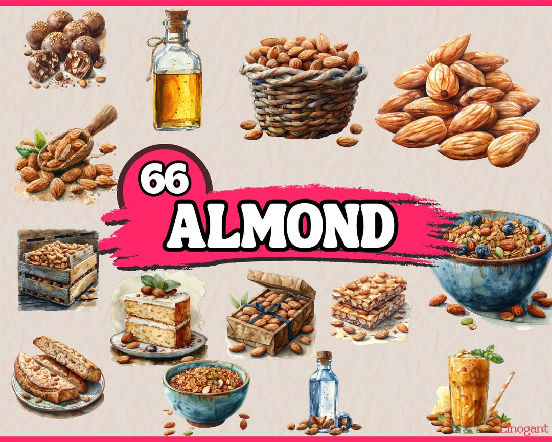 66 PNG Almond Clipart Bundle, Nuts Clip Art Set, Box, Sack, Bowl of ...