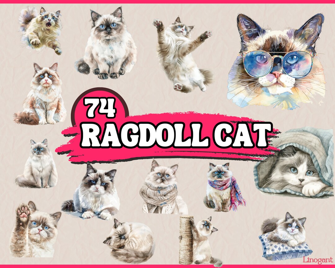 74 Ragdoll Cat Clipart | Cat Sublimation Bundle | Printable Watercolor ...