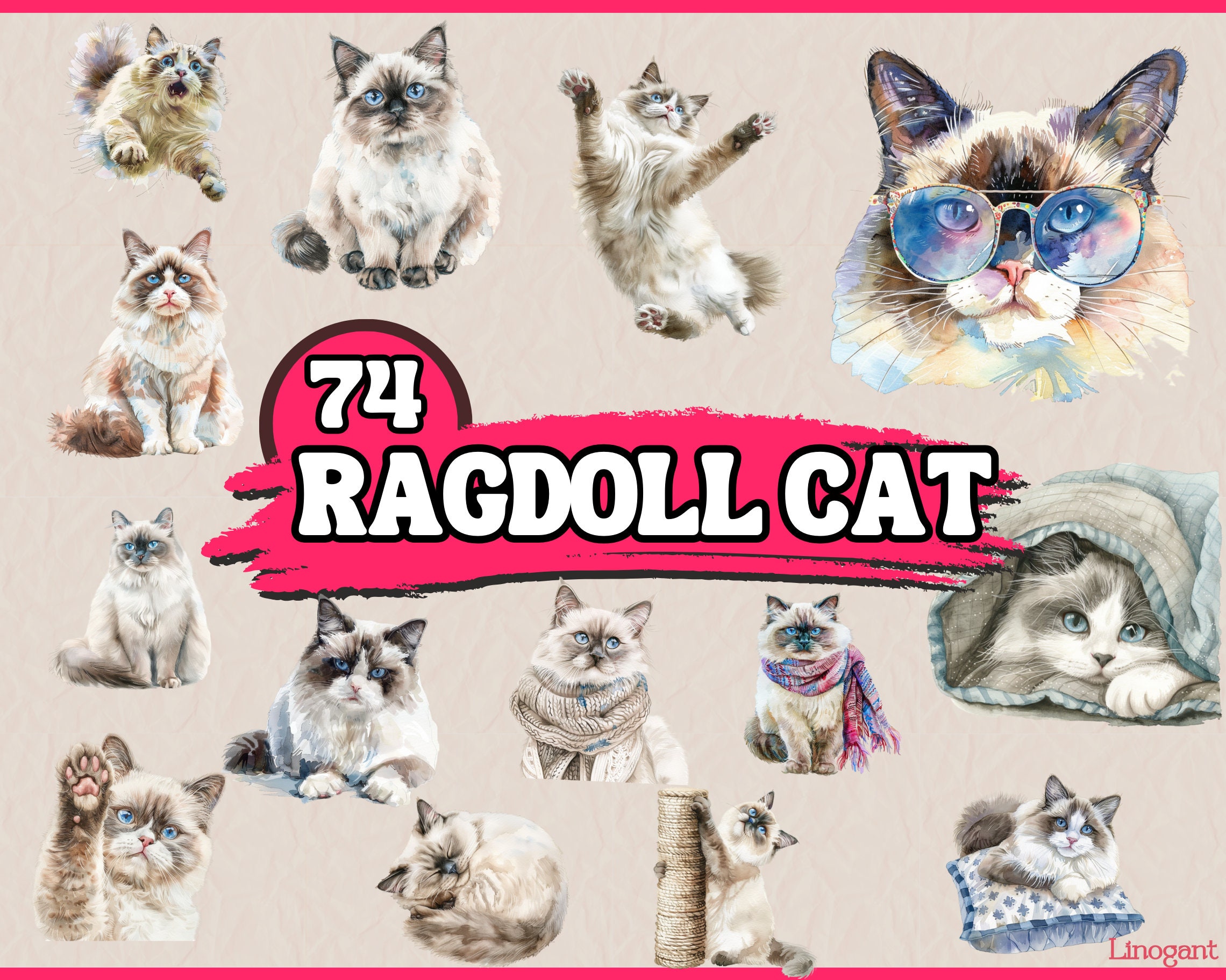 74 Ragdoll Cat Clipart | Cat Sublimation Bundle | Printable Watercolor ...